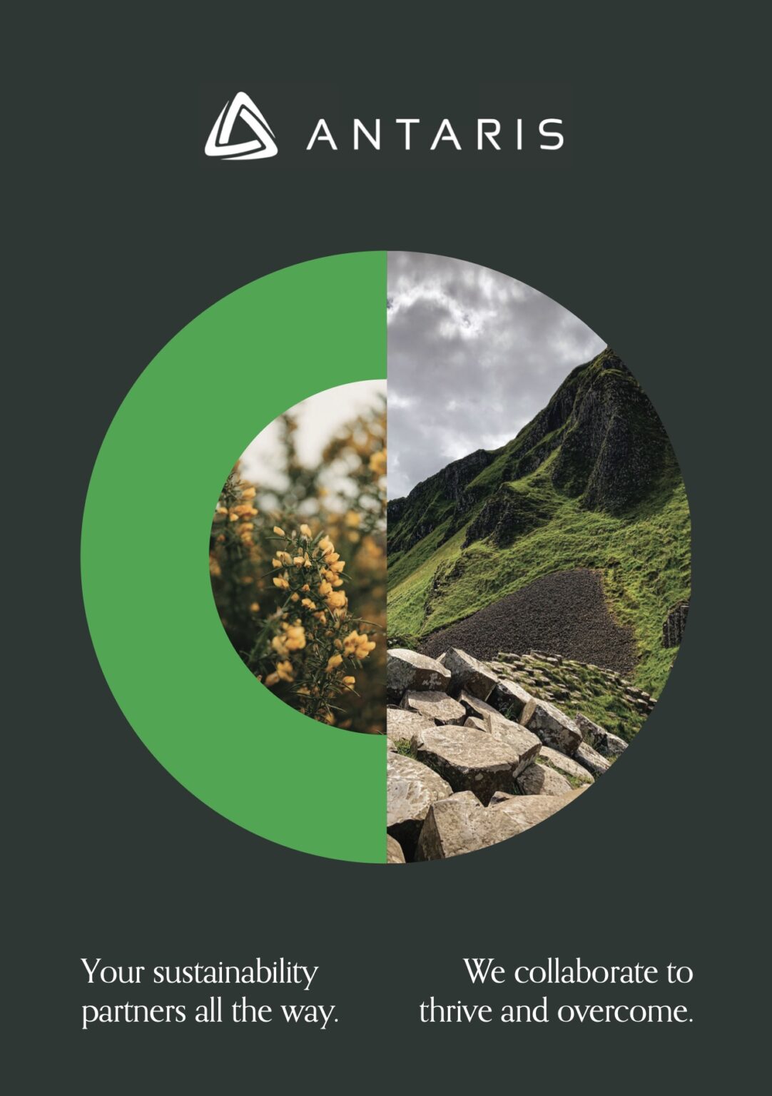 ISO 14068-1:2023 Climate change management Transition to net zero Part ...