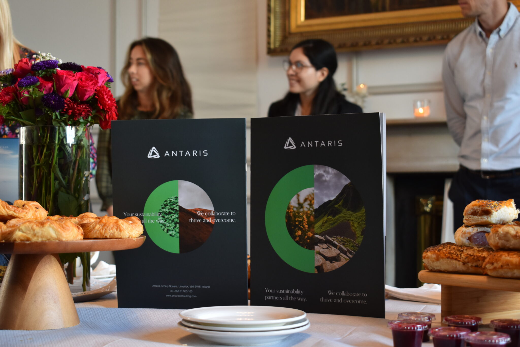 Leading Sustainability & ISO Consultants - Antaris Consulting